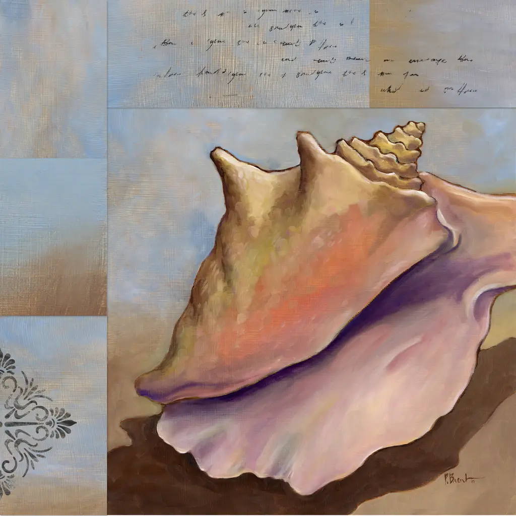 Decorative shells on tile - Conch Collage - Tile Mural