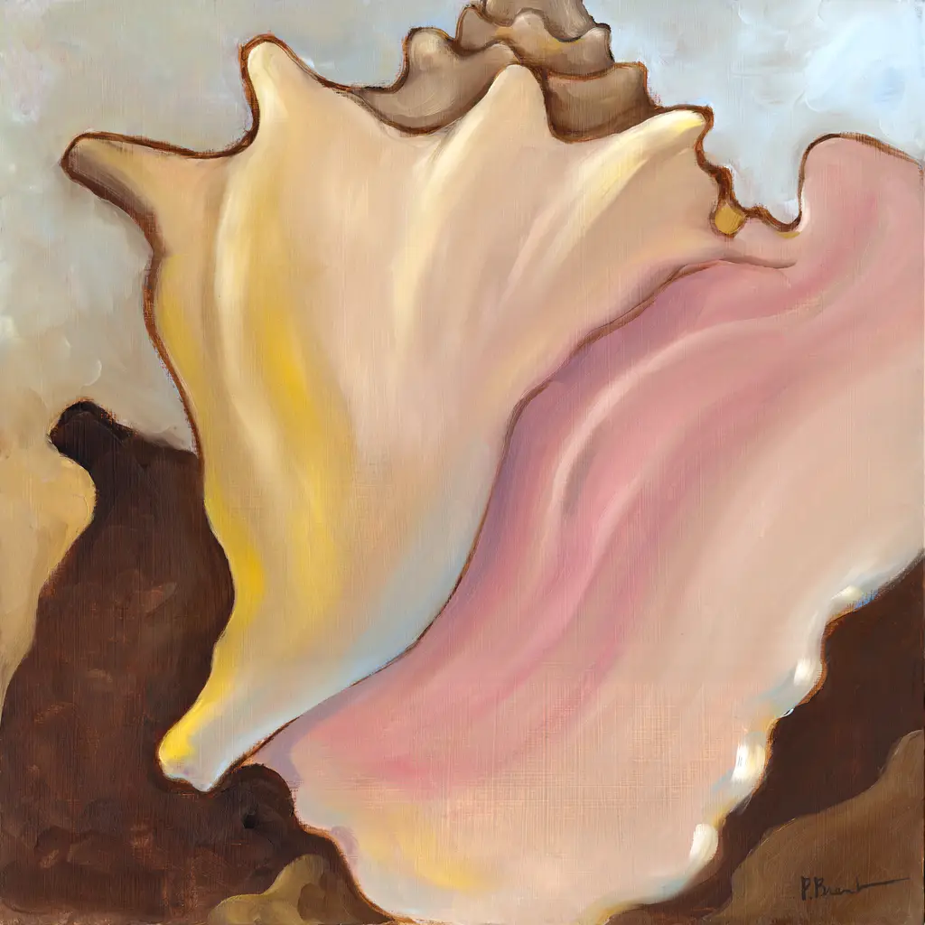 Decorative shells on tile - Conch 1 - Tile Mural