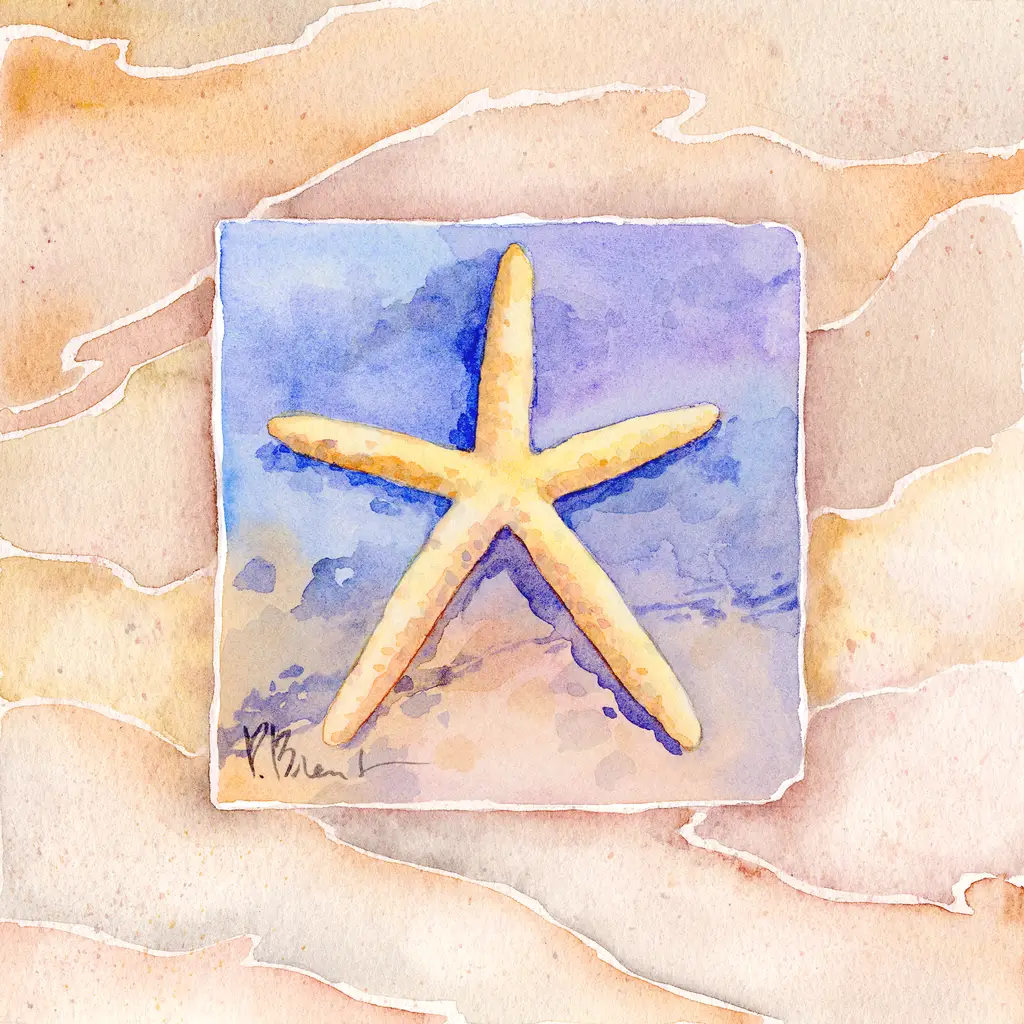 Sea life accent tiles - Summer Starfish - Accent Tile