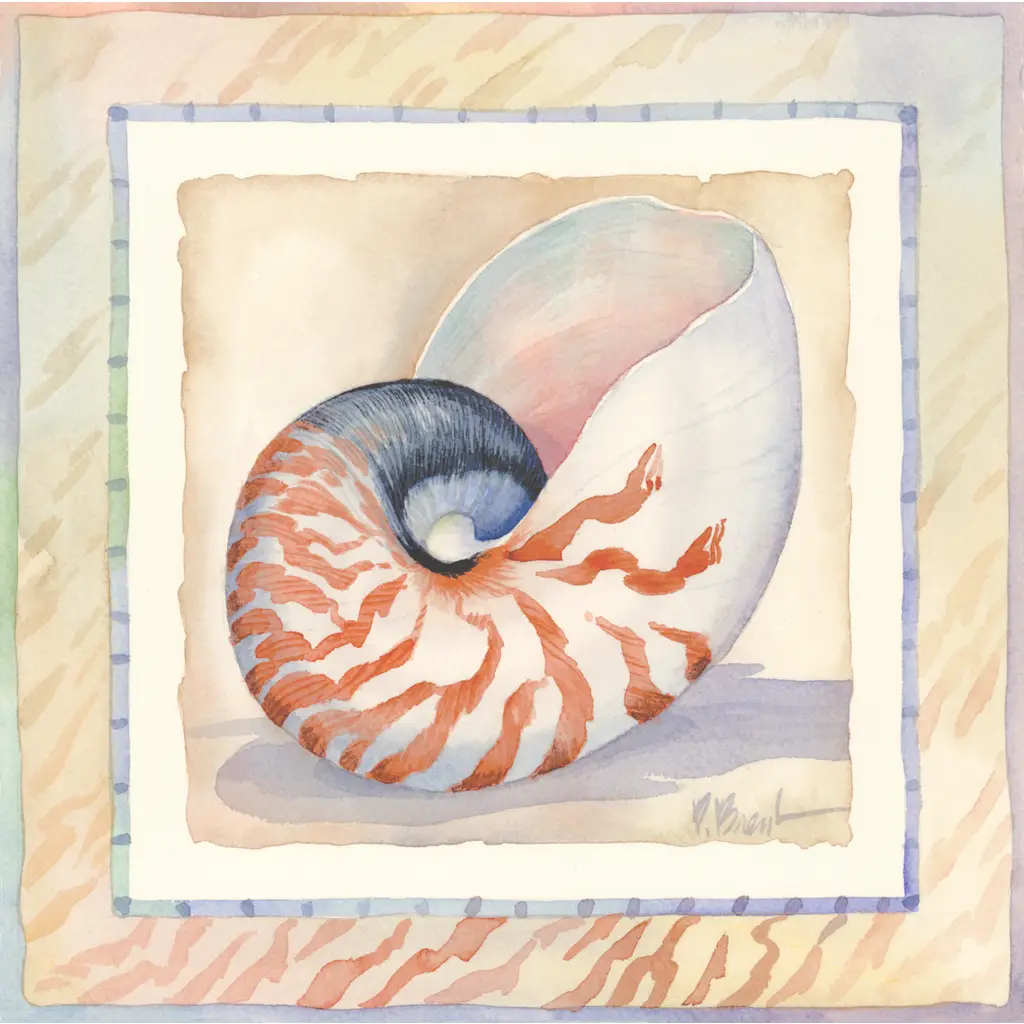 Sea life accent tiles - Bordered Shell Nautilus - Accent Tile