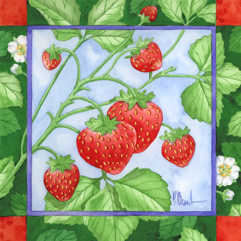 Fruits and vegetable accent tiles - Strawberries - Accent Tile
