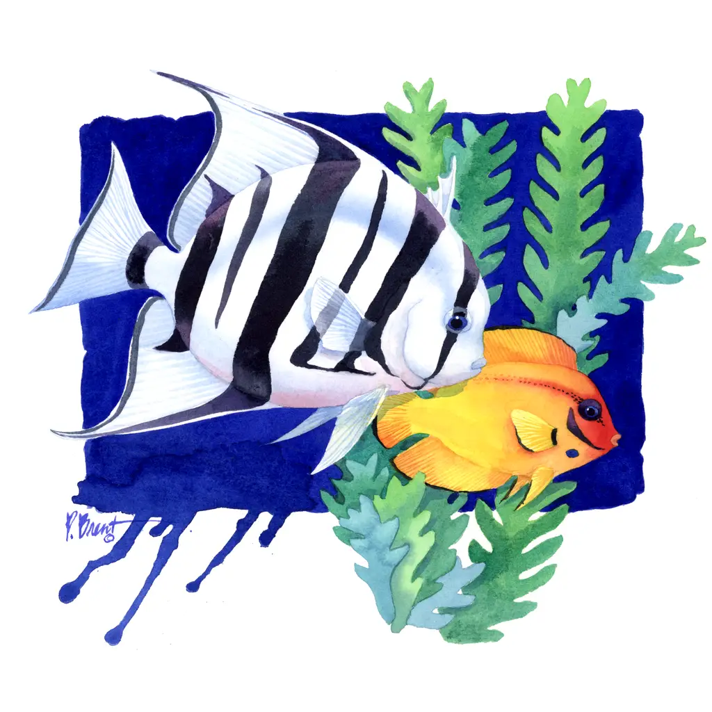 Saltwater fish art-Atlantic Spade Fish-Tile Mural