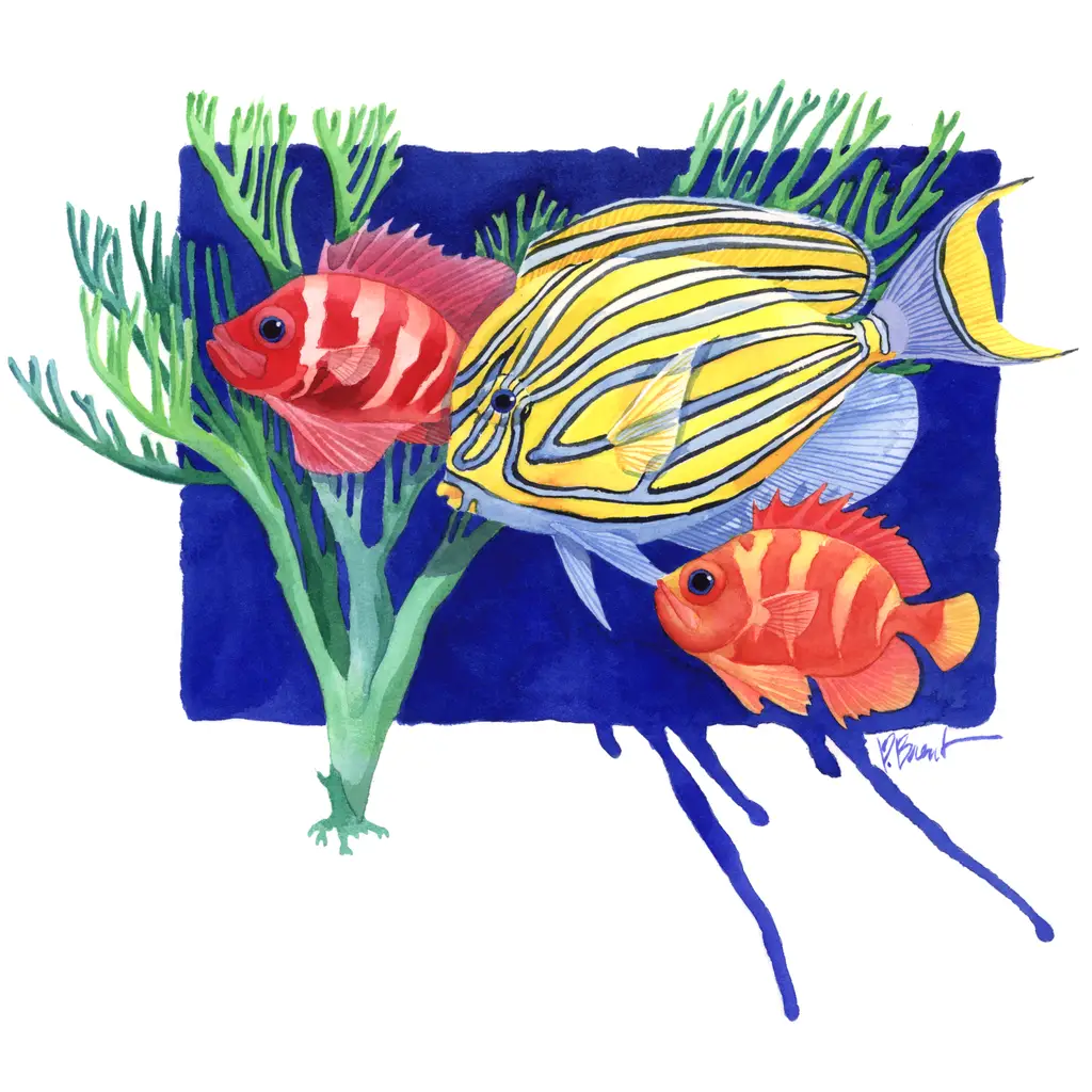Saltwater fish art-Clown Surgeon Fish-Tile Mural