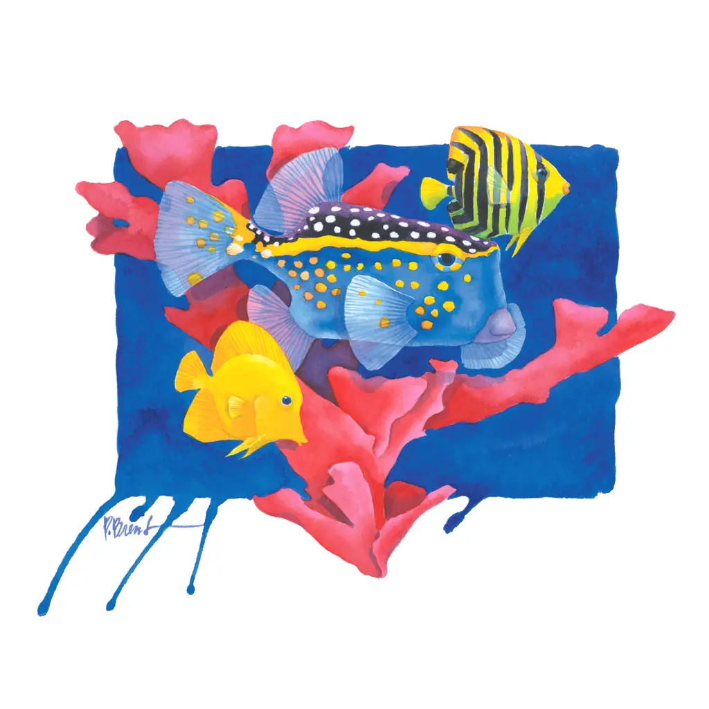 Saltwater Fish Art Spotted Box Fish Tile Mural saltwater-fish-art-spotted-box-fish-tile-mural