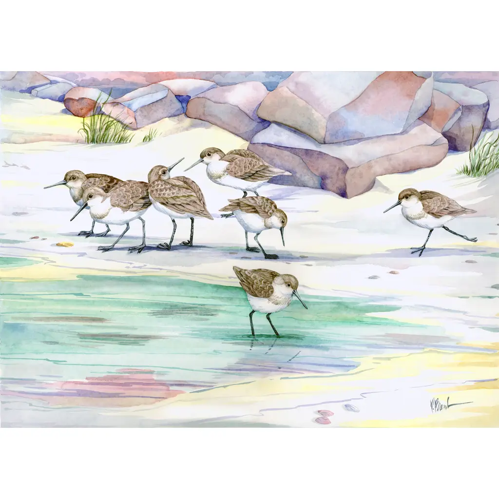 Decorative tile with waterfowl-Sandpiper Shoreline-Tile Mural