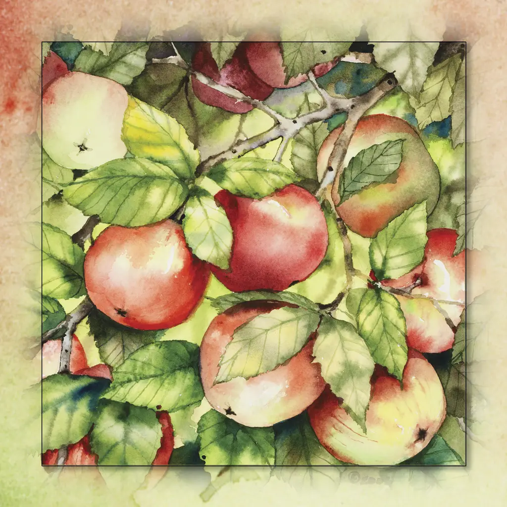 Fruit /Vege decorative tile-Apples-Tile Mural