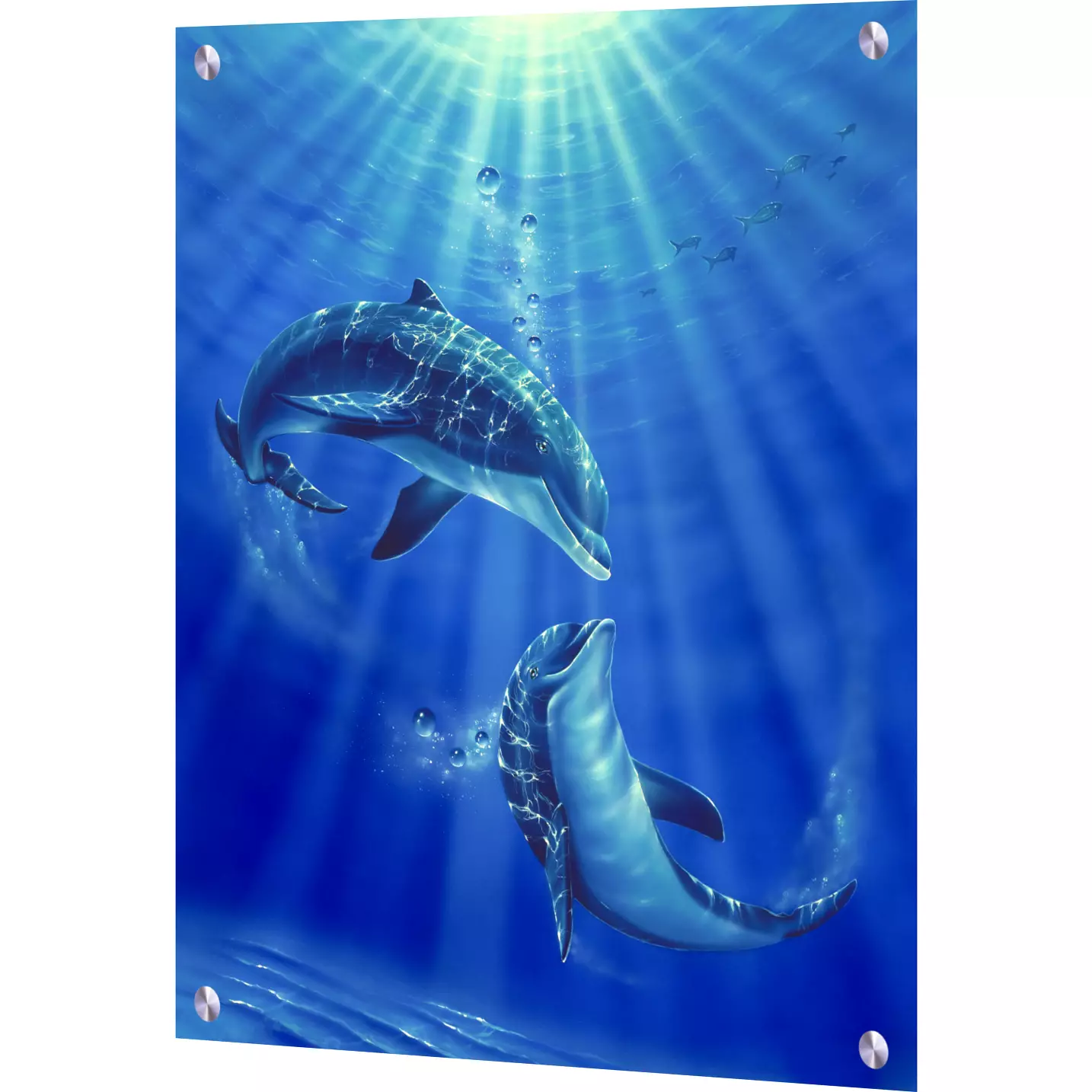 Dolphin and Whale art-Dolphin Kiss-Art Glass Backsplash