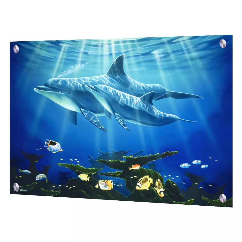 Dolphin and Whale art-Dolphin Reef-Art Glass Backsplash