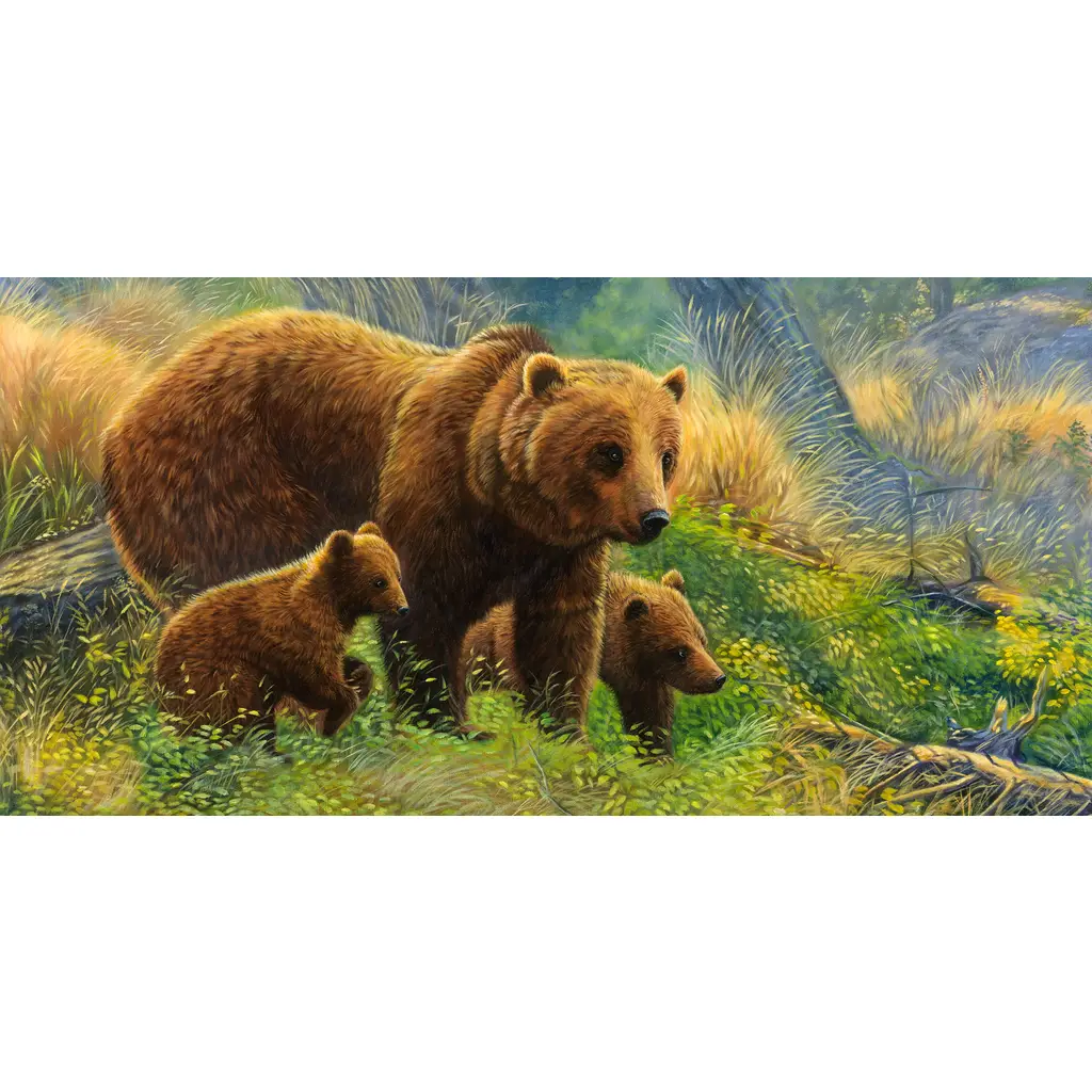 Decorative tiles with bears-Young Explorers-Tile Mural