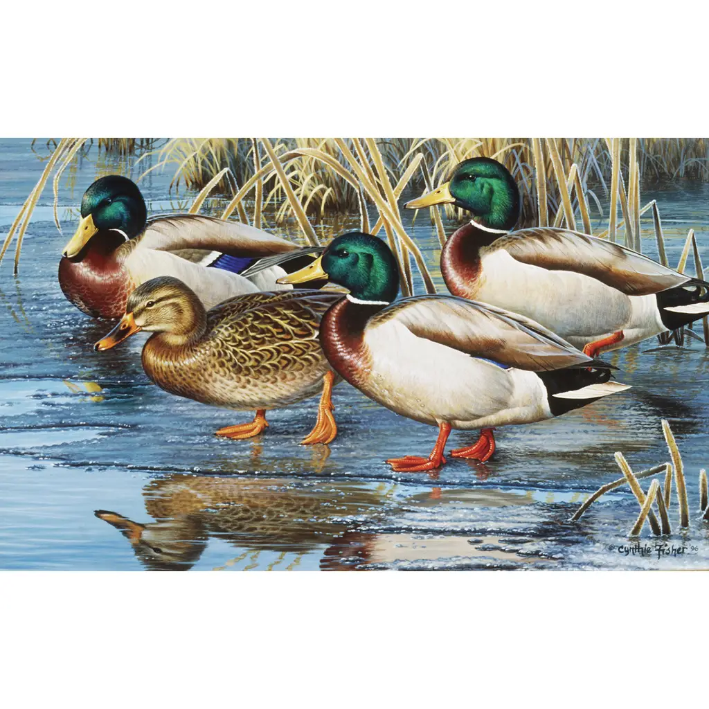 Decorative tile with waterfowl-Early Ice Mallards-Tile Mural