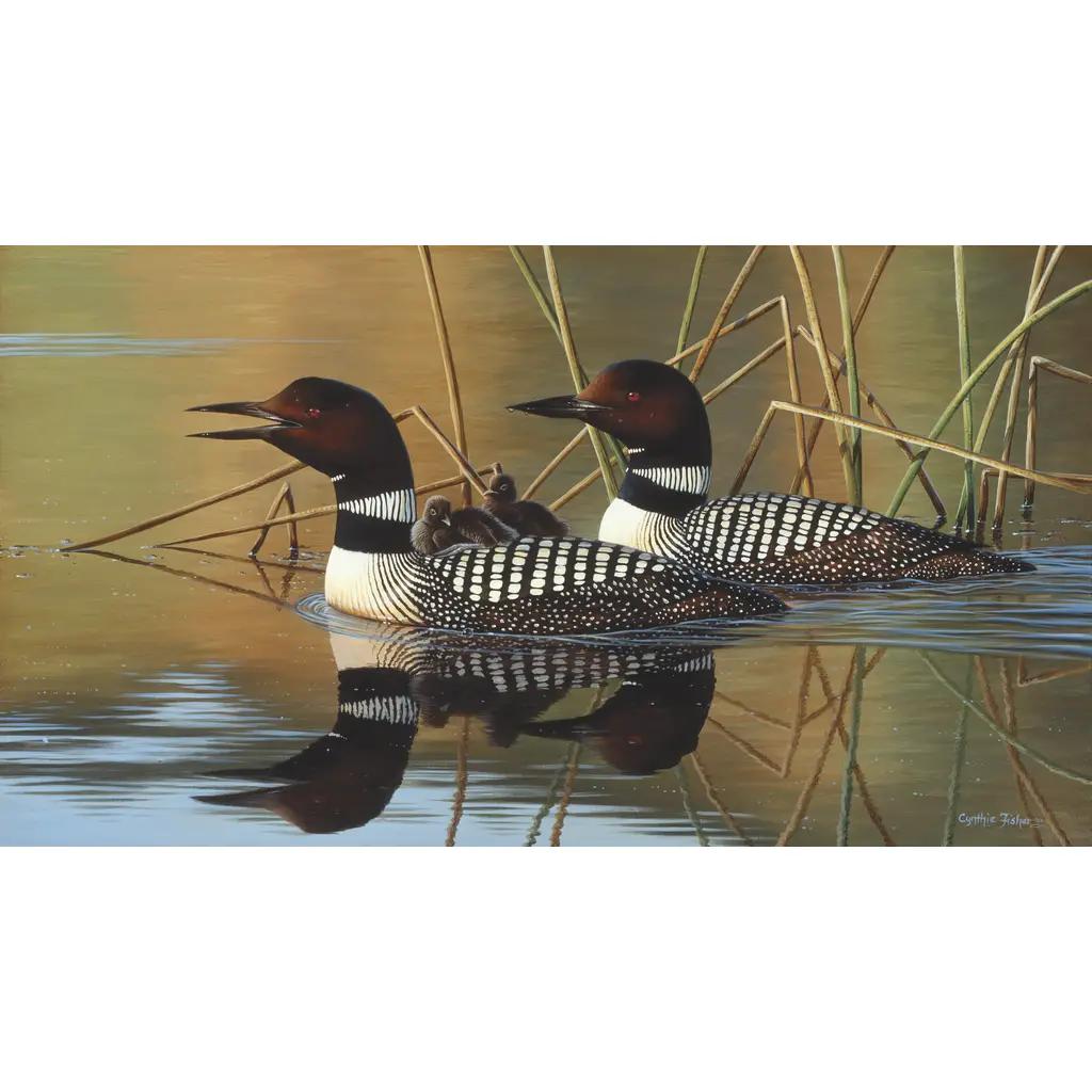 Decorative tile with waterfowl-Loon Family-Tile Mural