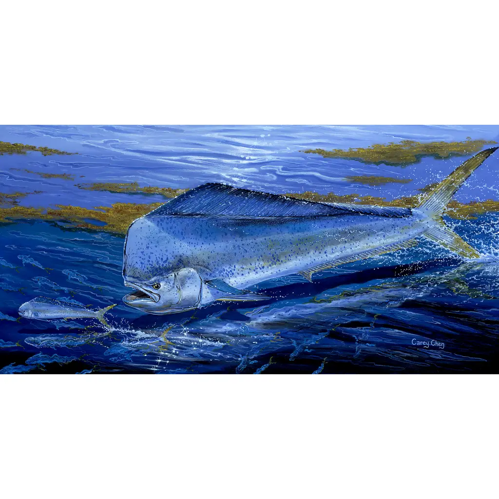 Saltwater fish art-Blue Mahi-Tile Mural