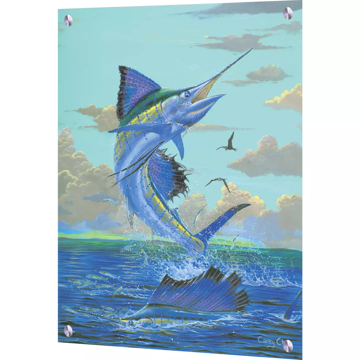 Saltwater fish art-Double Sails-Art Glass Backsplash