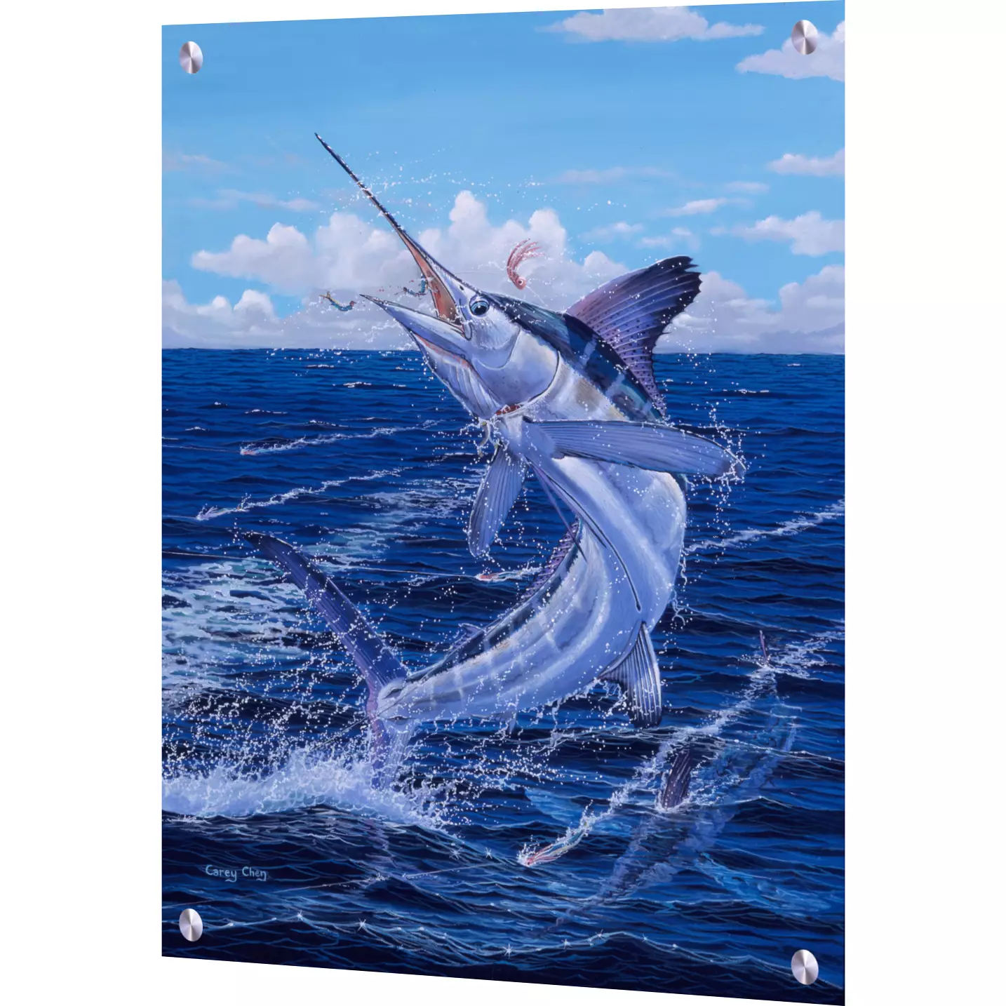 Saltwater fish art-Flat Line-Art Glass Backsplash