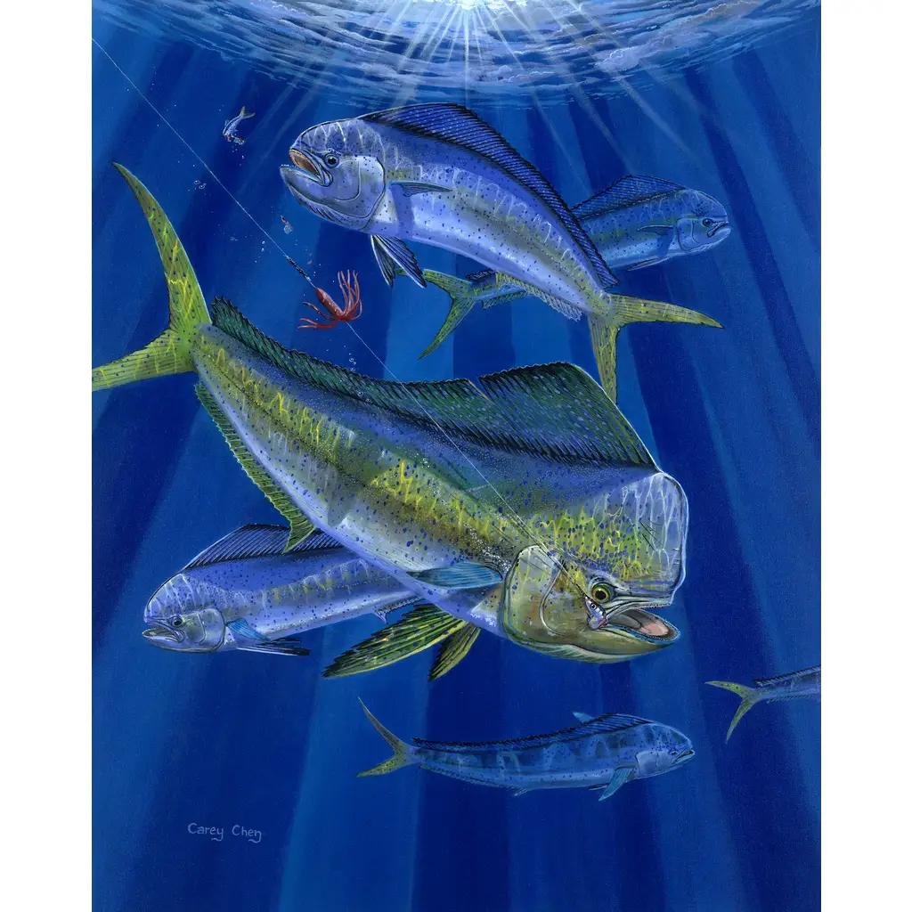 Saltwater fish art-Just Taken-Tile Mural