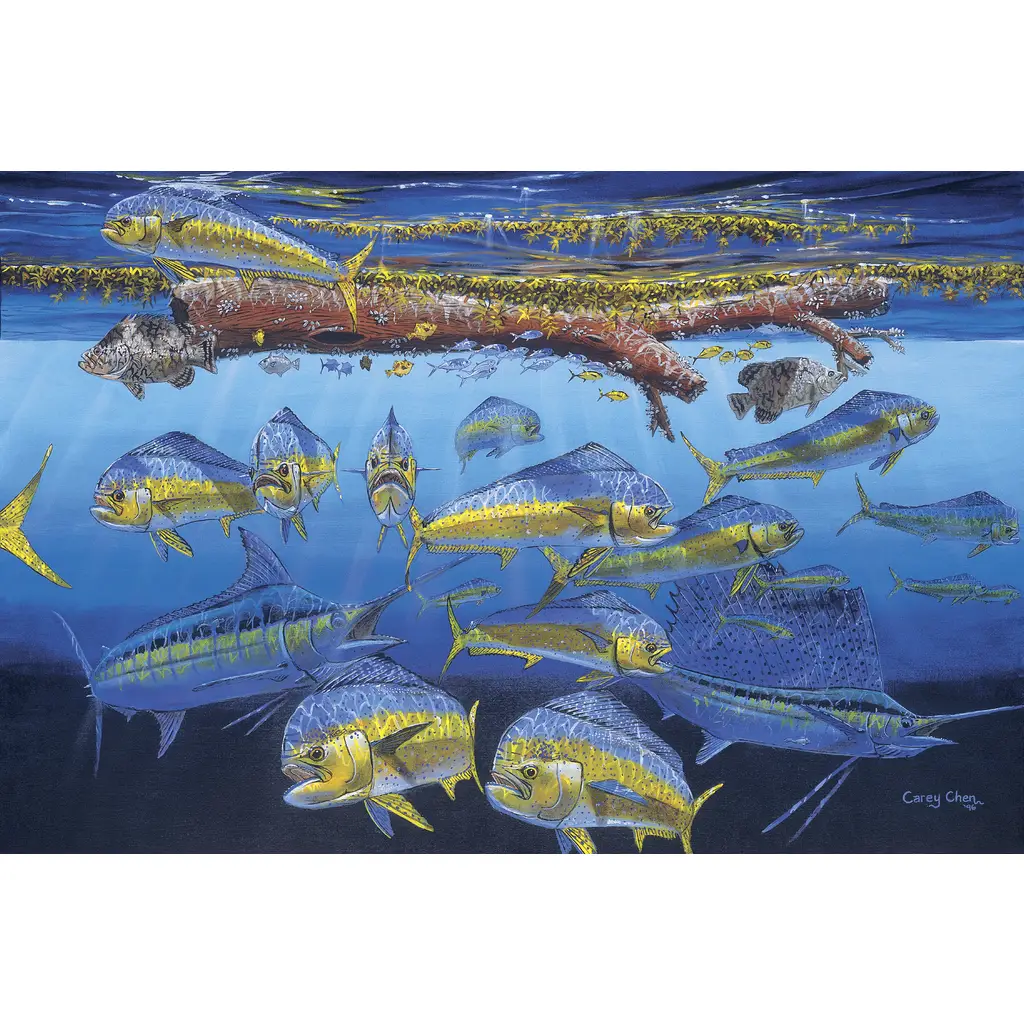 Saltwater fish art-Cover-Tile Mural