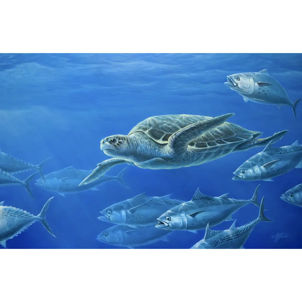 Sea Turtles/Rays on tile-Sea Turtle-Tile Mural