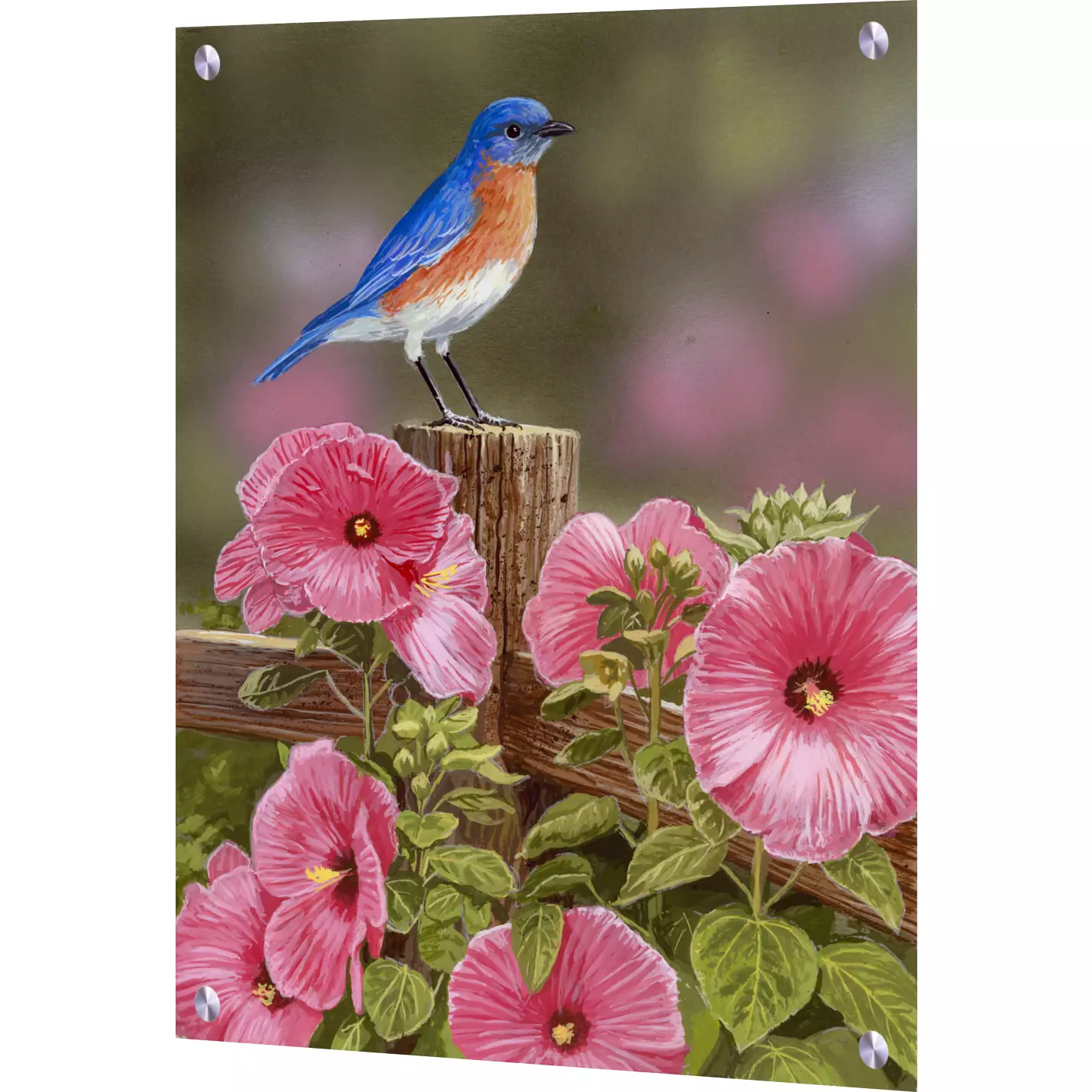 Backyard bird decorative tile-Bluebird with Hibiscus-Art Glass Backsplash