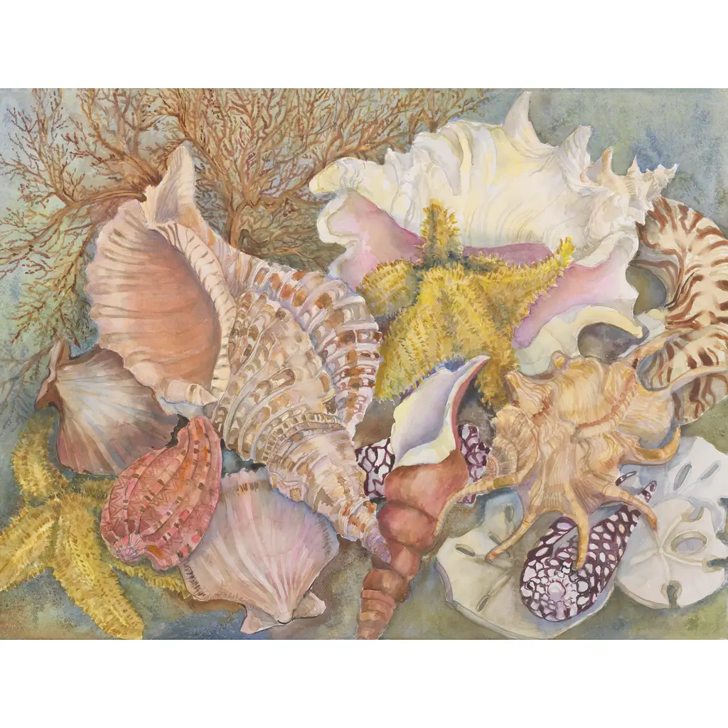Decorative shells on tile - Treasures of the Sea - Tile Mural