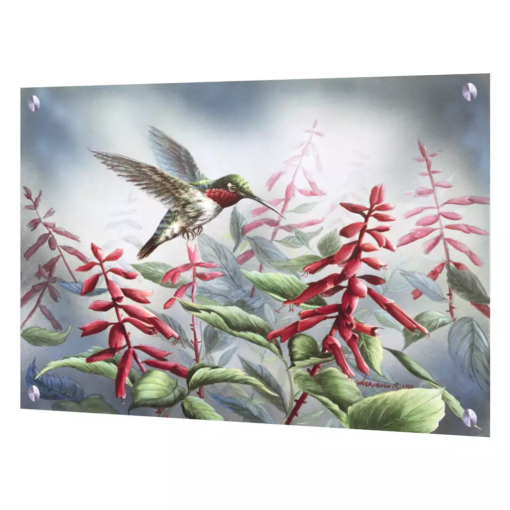 Hummingbird art for glass tiles-Summer Hummingbird-Art Glass Backsplash