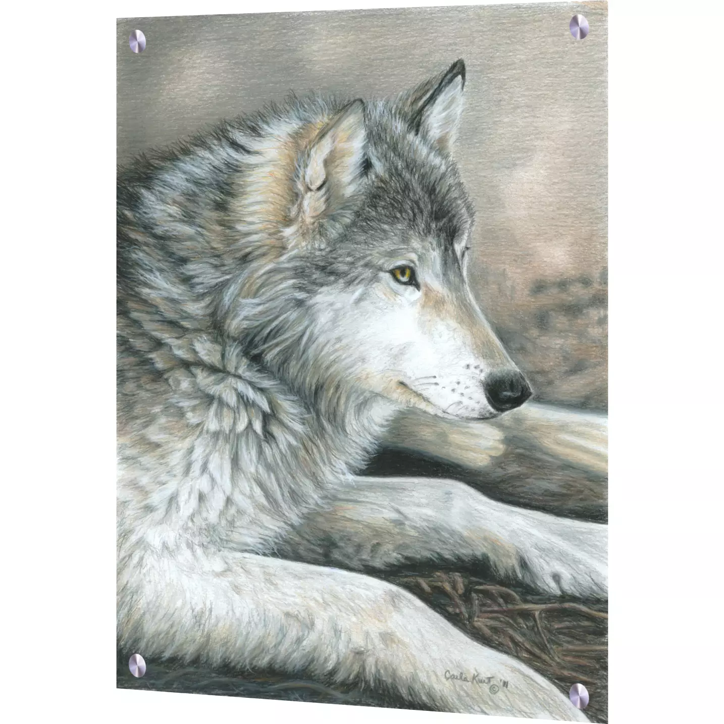 Wolves/foxes on tile-Calm Wolf-Art Glass Backsplash