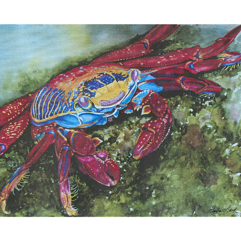 Saltwater fish art-Rock Crab-Tile Mural