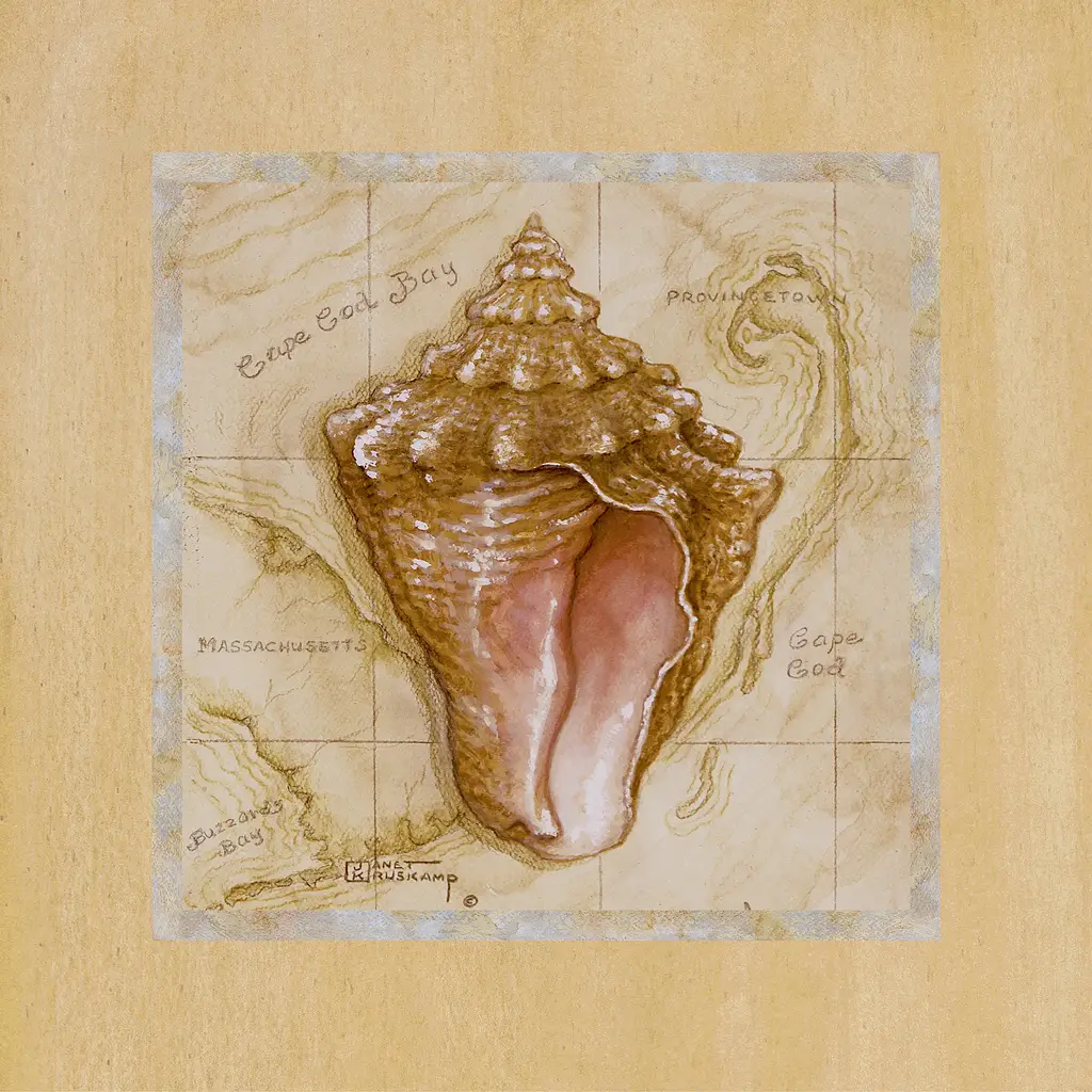 Sea life accent tiles - Sea Treausures III - JK - Accent Tile