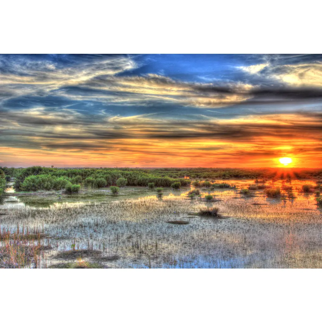 Photography on tile-Everglades Sunset-Tile Mural