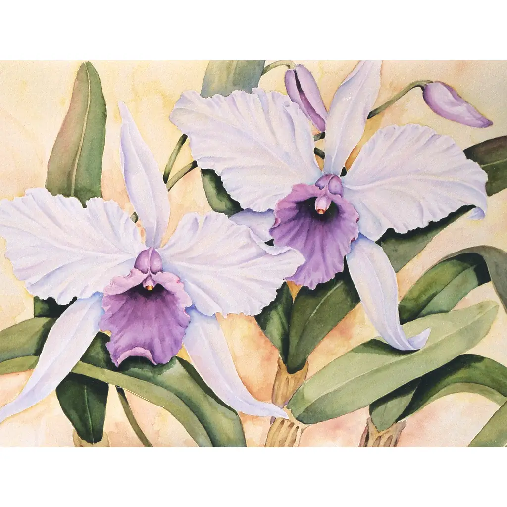 Tiles with tropical plants-Donnas Orchid-Tile Mural