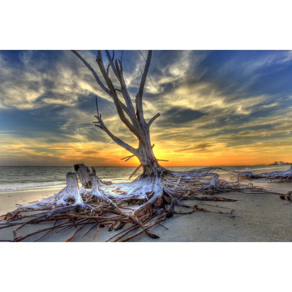 Photography on tile-Washed Out Trees-Tile Mural