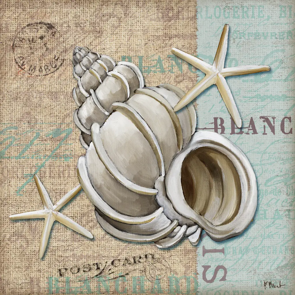 Decorative shells on tile - Linen Shells IV - Tile Mural