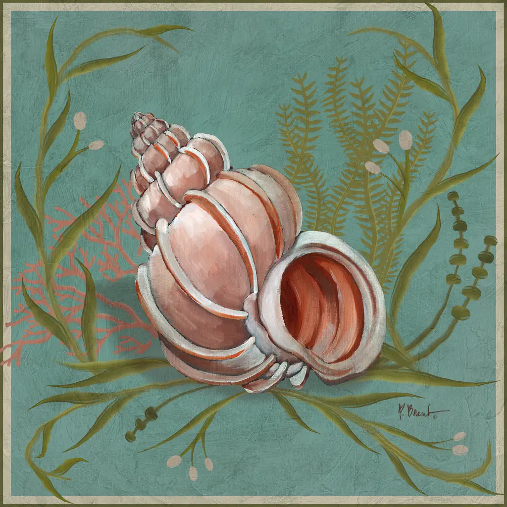 Decorative shells on tile - Emerald Reef II - Tile Mural