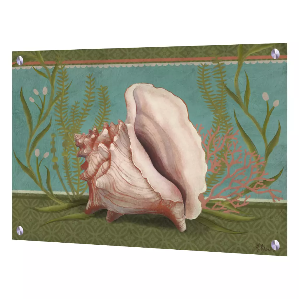 Decorative shells on glass tile-Emerald Reef Conch Shell-Art Glass ...