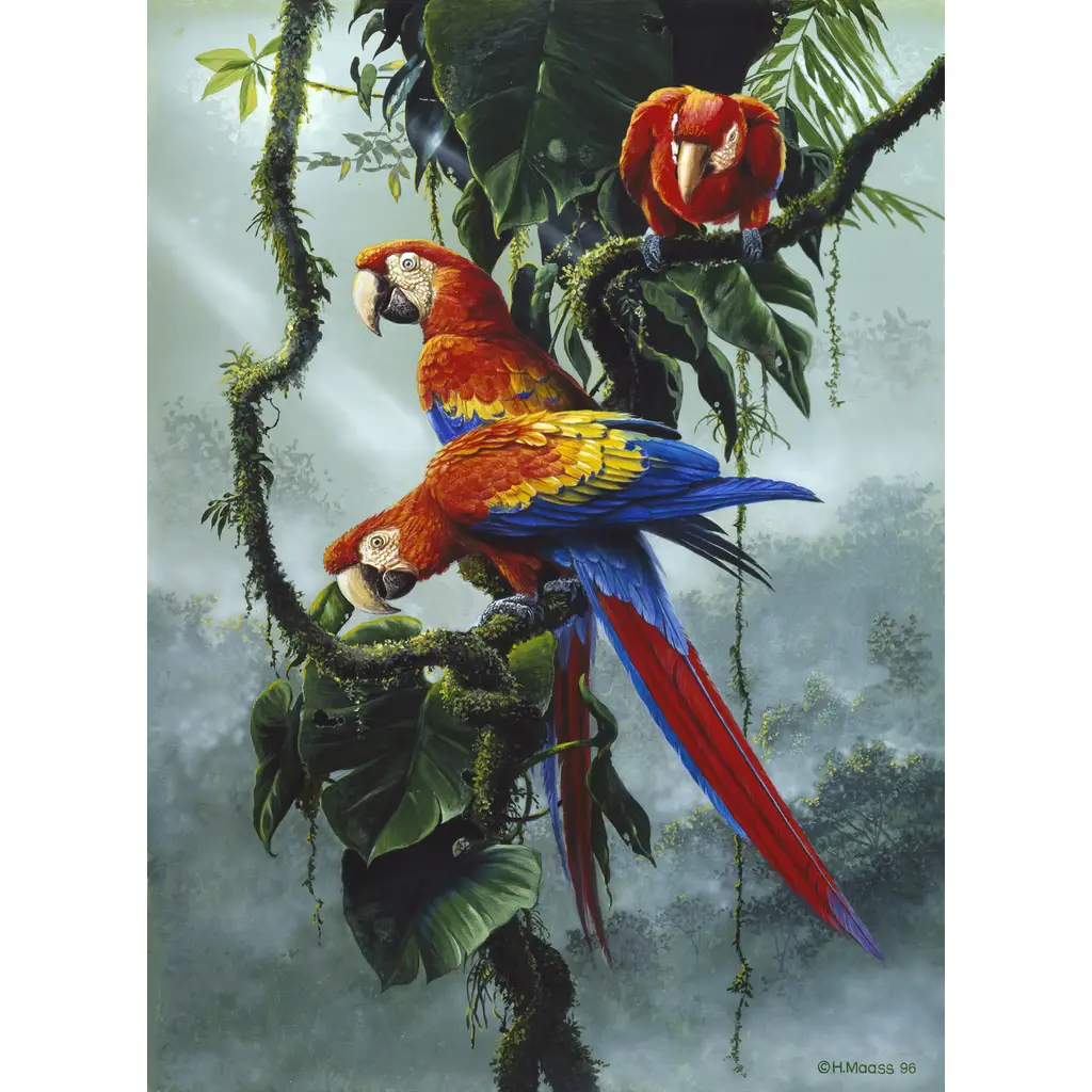 Tiles with tropical birds-Red and Yellow Macaw-Tile Mural