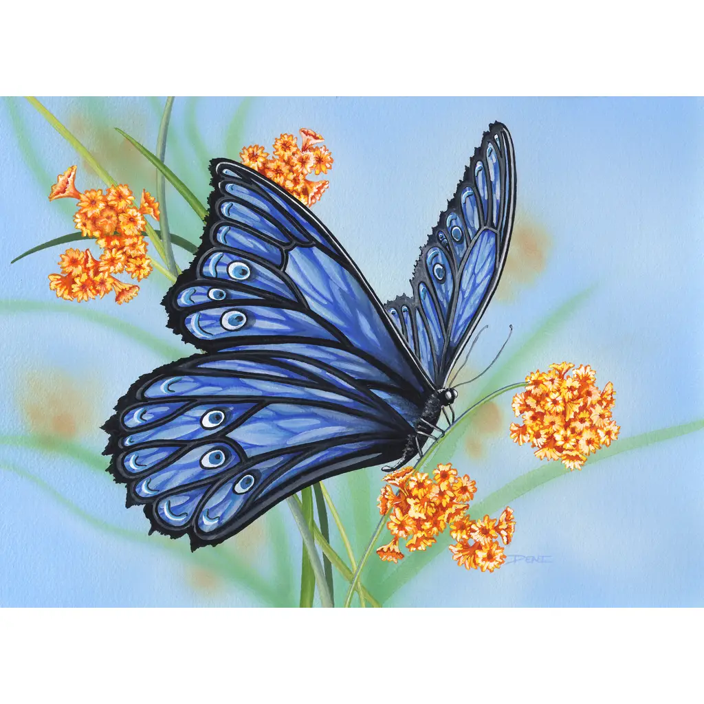 Butterfly tiles-Sapphire Wings-Tile Mural