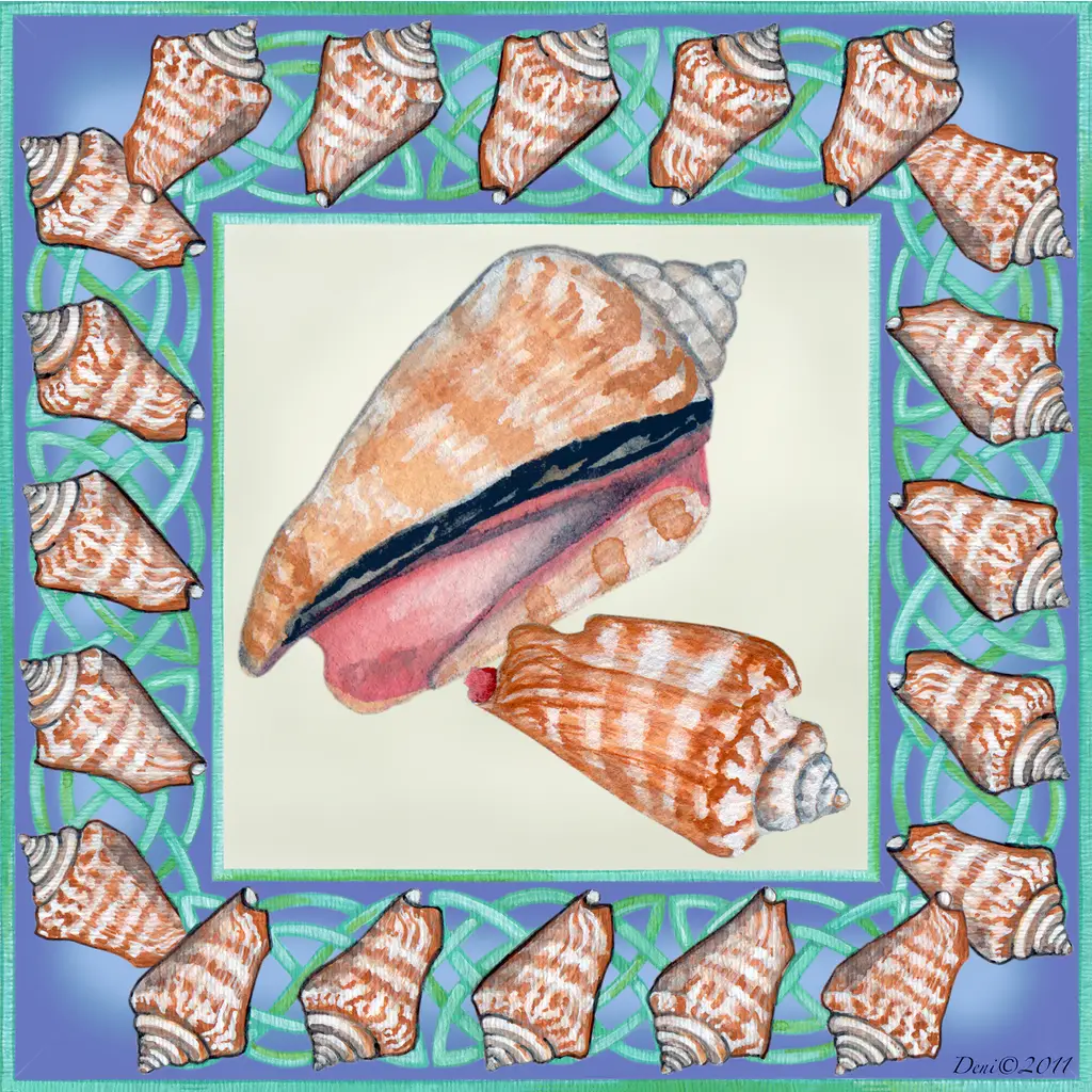 Decorative shells on tile - Seashell Square 4 - Tile Mural