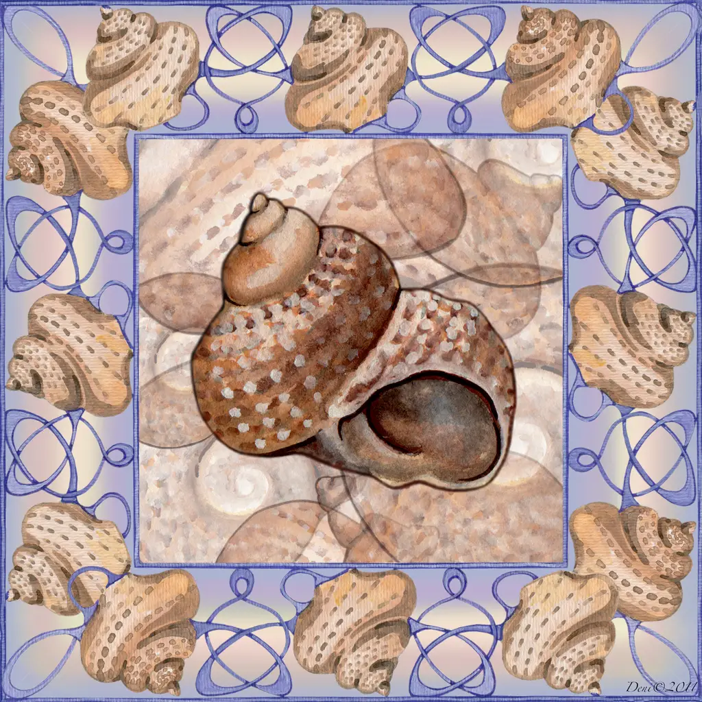 Decorative shells on tile - Seashell Square 7 - Tile Mural