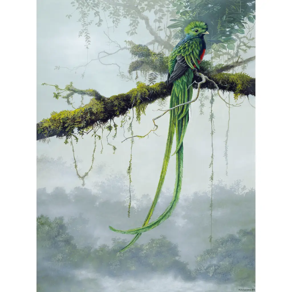 Tiles with tropical birds-Resplendent Quetzal-Tile Mural