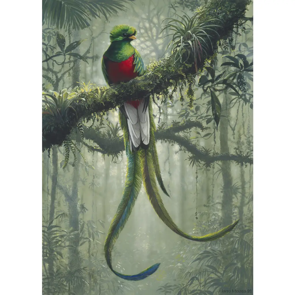 Tiles with tropical birds-Resplendent Quetzal 2-Tile Mural