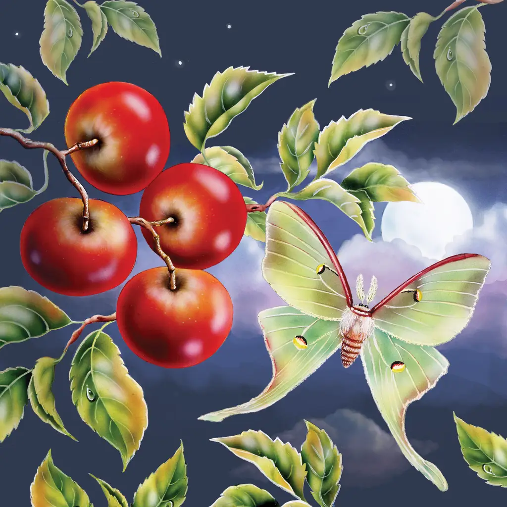 Butterfly tiles-Luna Moth-Tile Mural