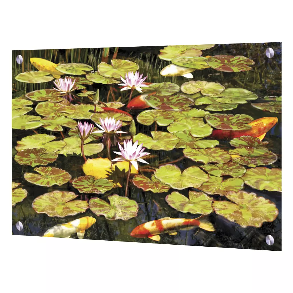 Fresh Water Fish tile art-Koi Pond I-Art Glass Backsplash