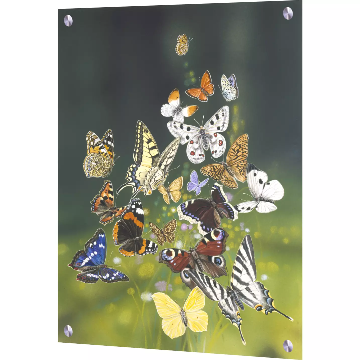 Butterfly glass tiles-Butterflies-Art Glass Backsplash