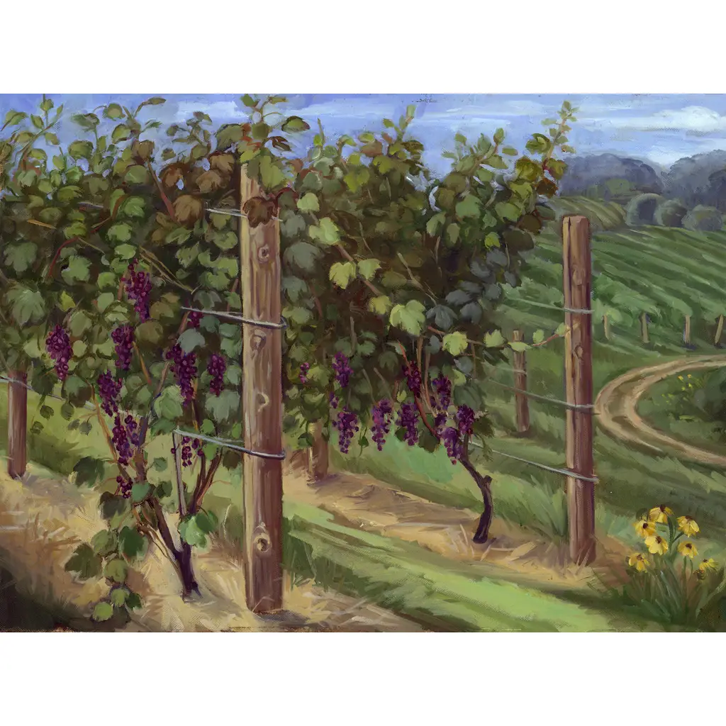 Decorative Wine tile-Vineyard II-Tile Mural