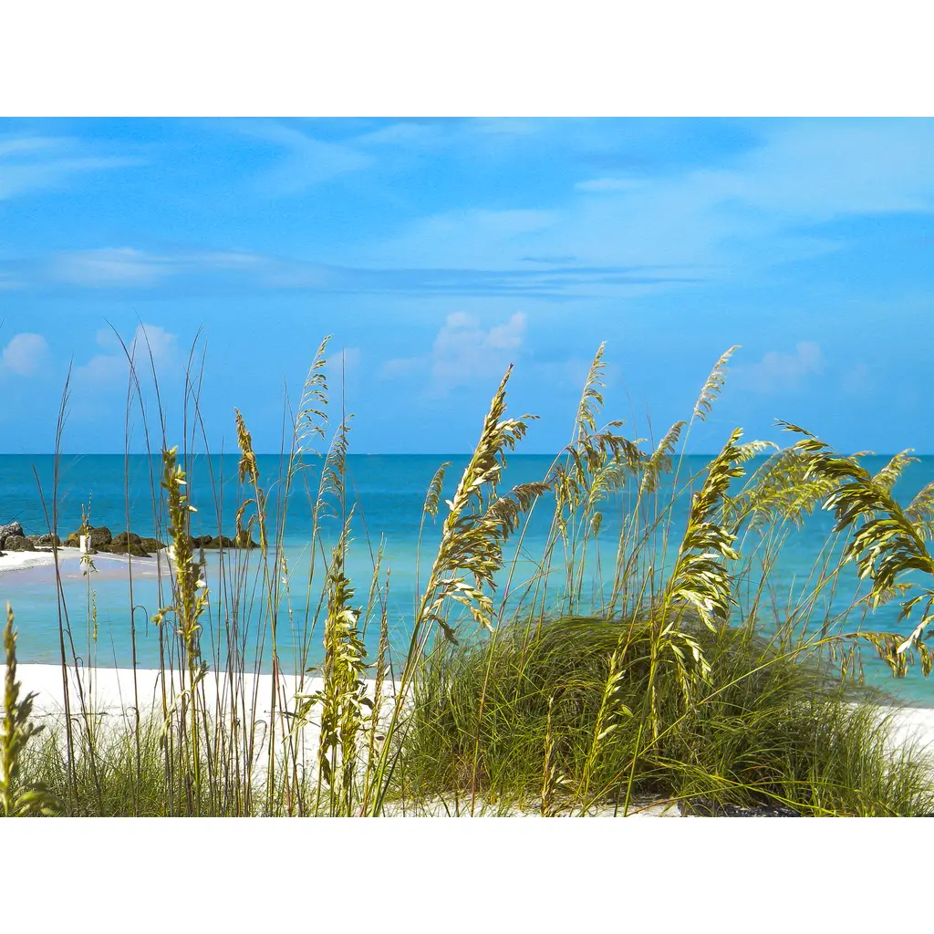 Photography on tile-Sole Dangling 2-Tile Mural