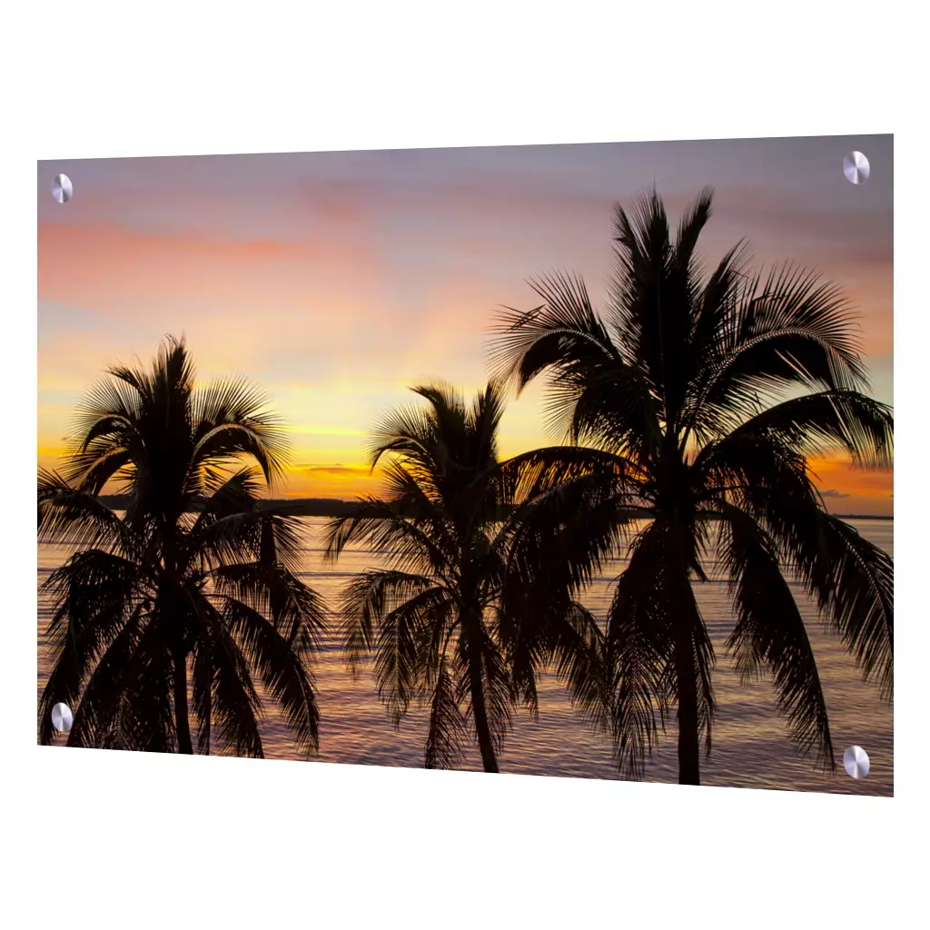 Photography on tile-Sunset Palm-Art Glass Backsplash