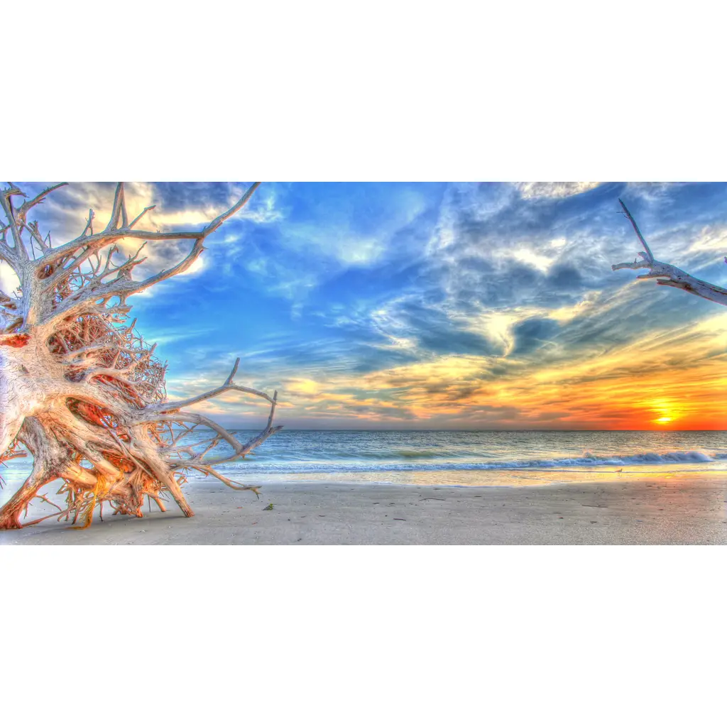 Beach scene tiles - Roots of Sunshine - Tile Mural