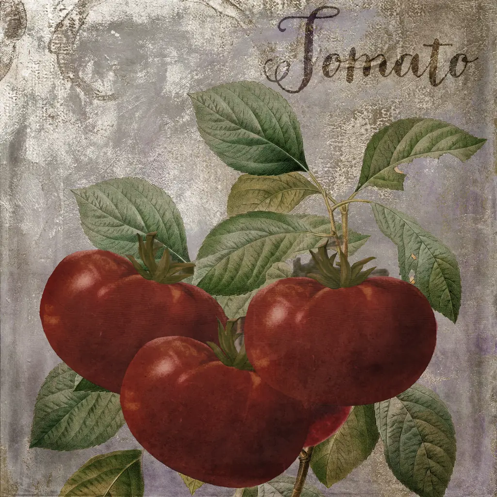 Fruit /Vege decorative tile-Medley Tomato-Tile Mural