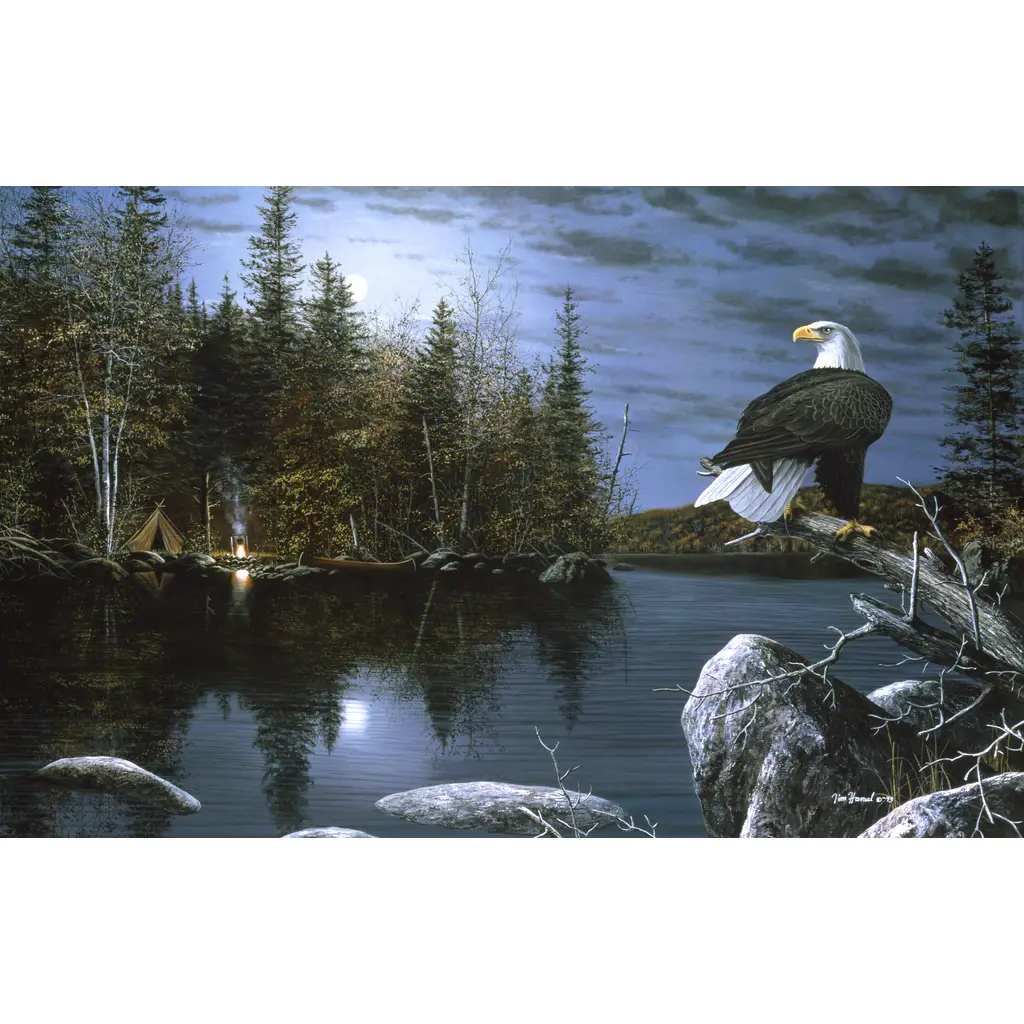 Birds of prey decorative tile-Reflections-Eagle-Tile Mural