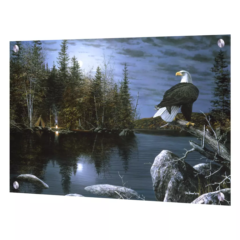 Birds of prey decorative tile-Reflections-Eagle-Tile Mural