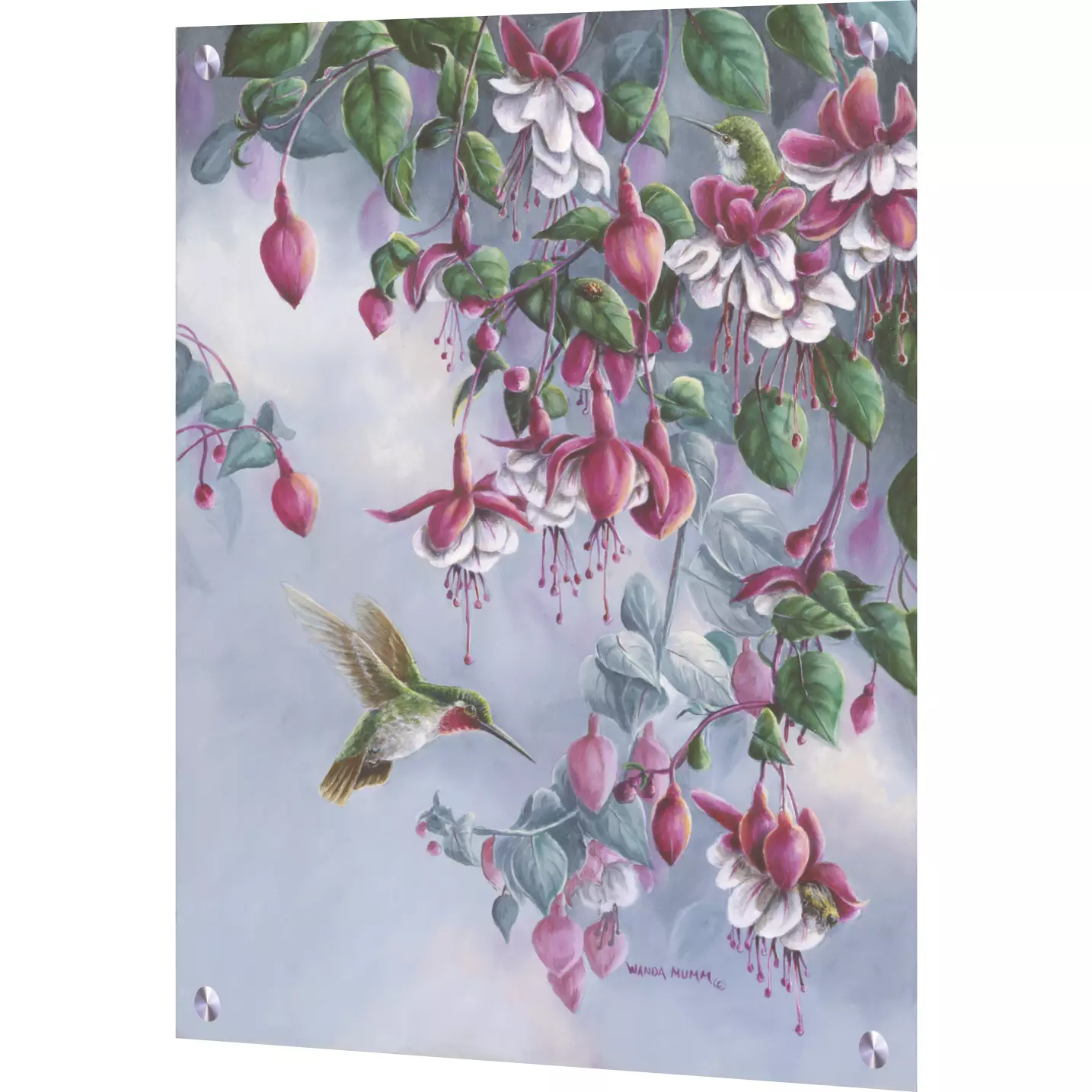 Hummingbird art for glass tiles-Broadtail and Fuschia-Art Glass Backsplash